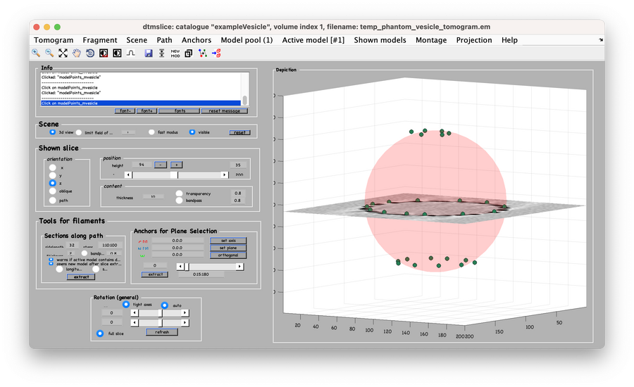 Walkthrough on vesicle models - Dynamo