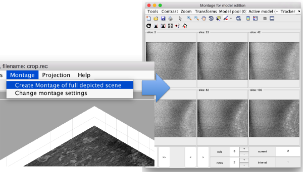 Advanced starters guide - Dynamo