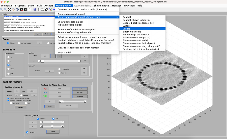 Walkthrough on vesicle models - Dynamo