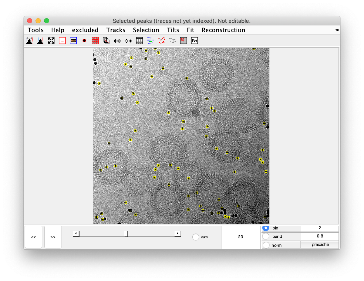 Walkthrough on GUI based tilt series alignment - Dynamo