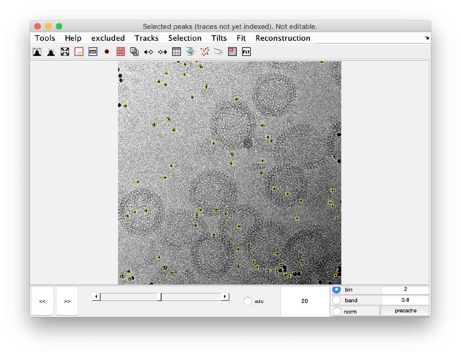 File:AlignGUI markerPositionsAfterClustering.png - Dynamo