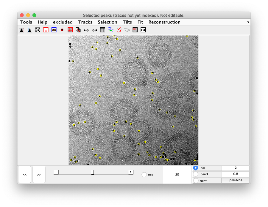 Walkthrough on GUI based tilt series alignment - Dynamo