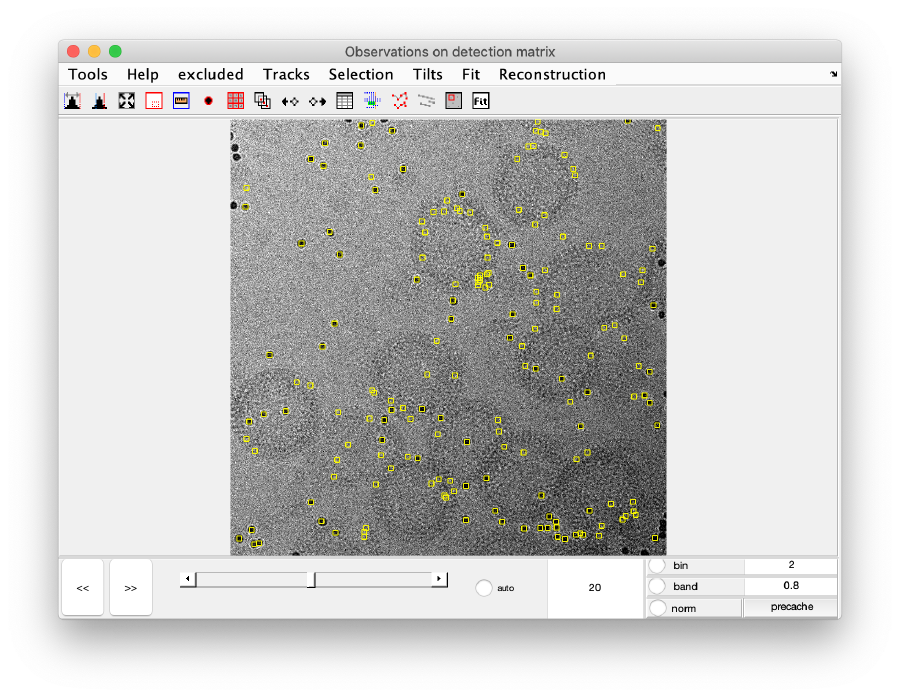 Walkthrough on GUI based tilt series alignment - Dynamo