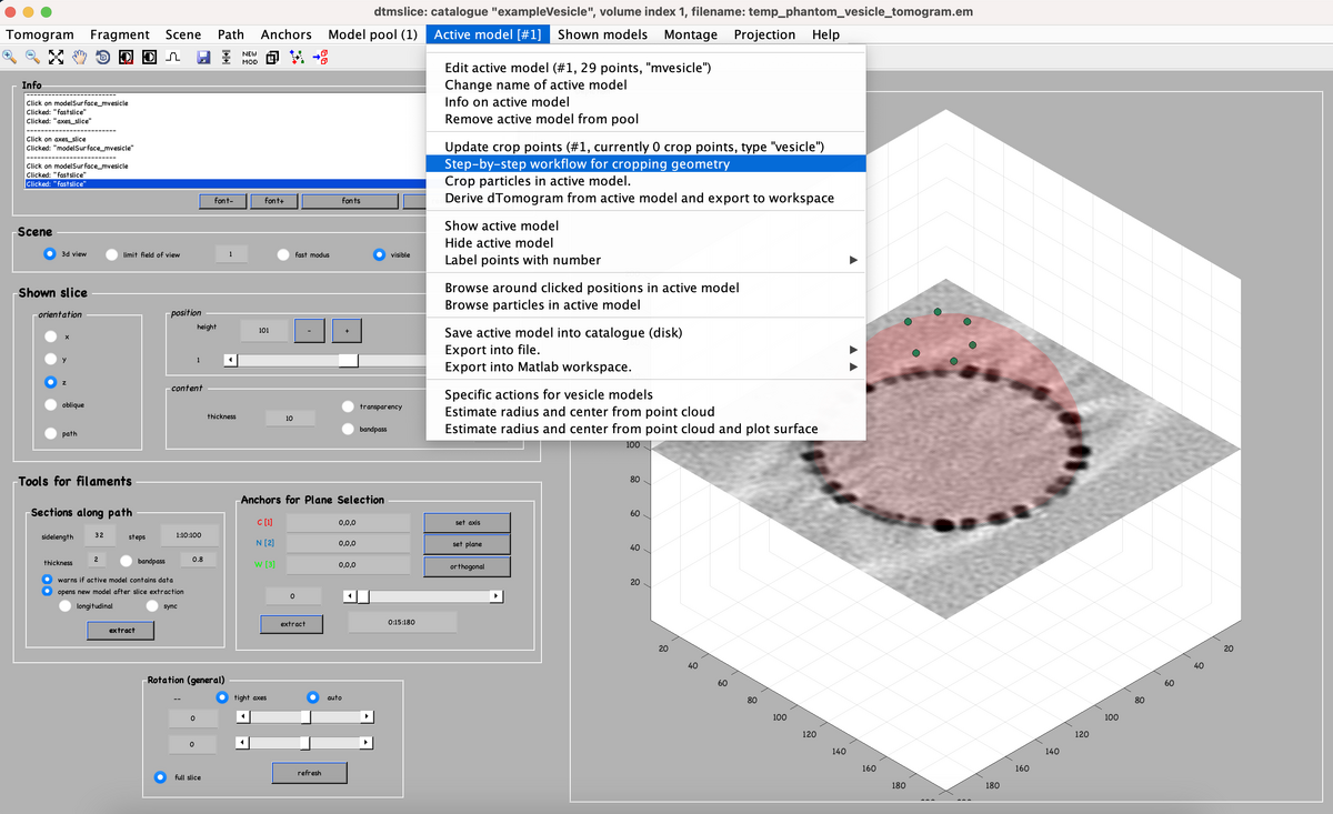 Walkthrough on vesicle models - Dynamo