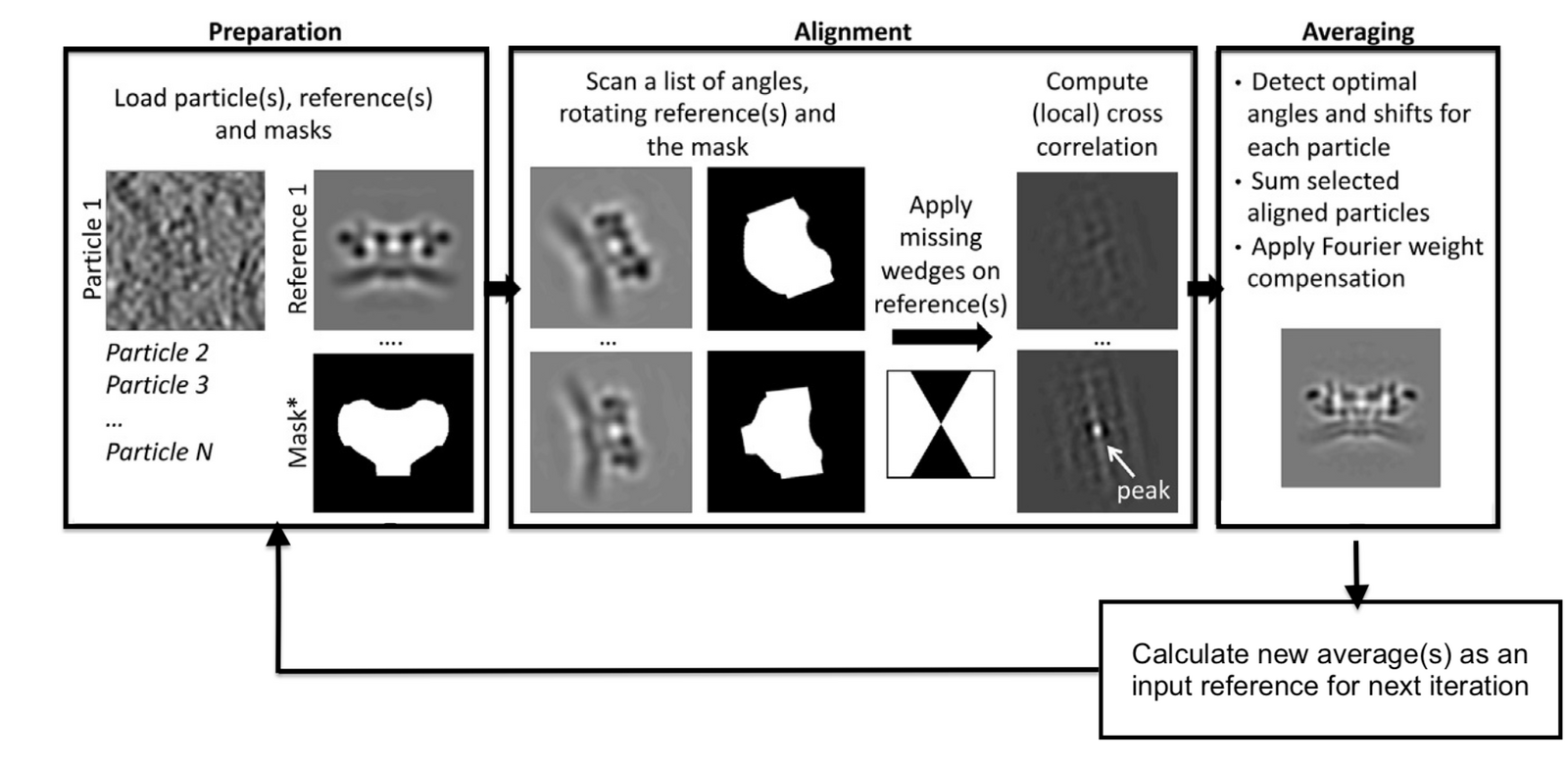 File:Alignment-project-main-block-iterative-workflow-sta.png - Dynamo