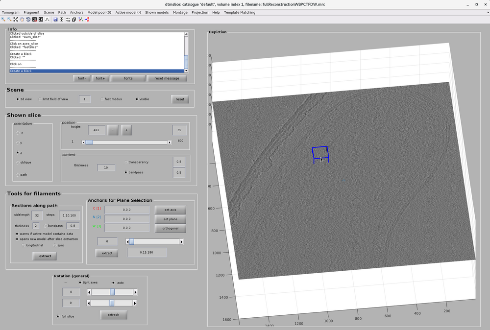 Walkthrough for GUI-based template matching (Tsinghua Spring School 2025) - Dynamo