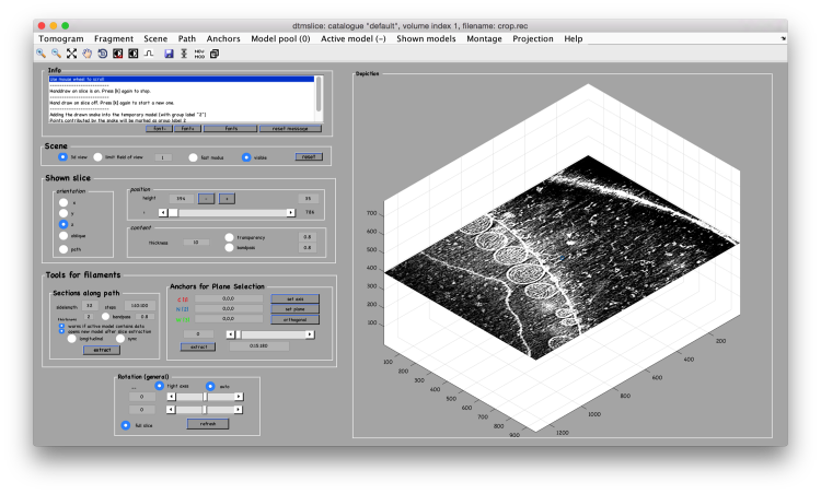 Advanced starters guide - Dynamo