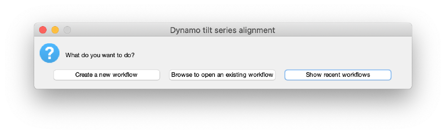 Walkthrough on GUI based tilt series alignment - Dynamo