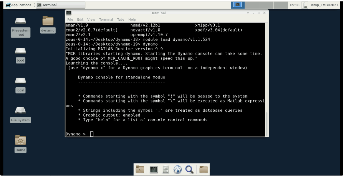 File:Embo 2021 5.png - Dynamo