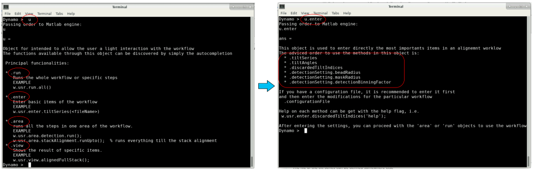 Walkthrough on command line based tilt series alignment (Copenhagen 2024) - Dynamo