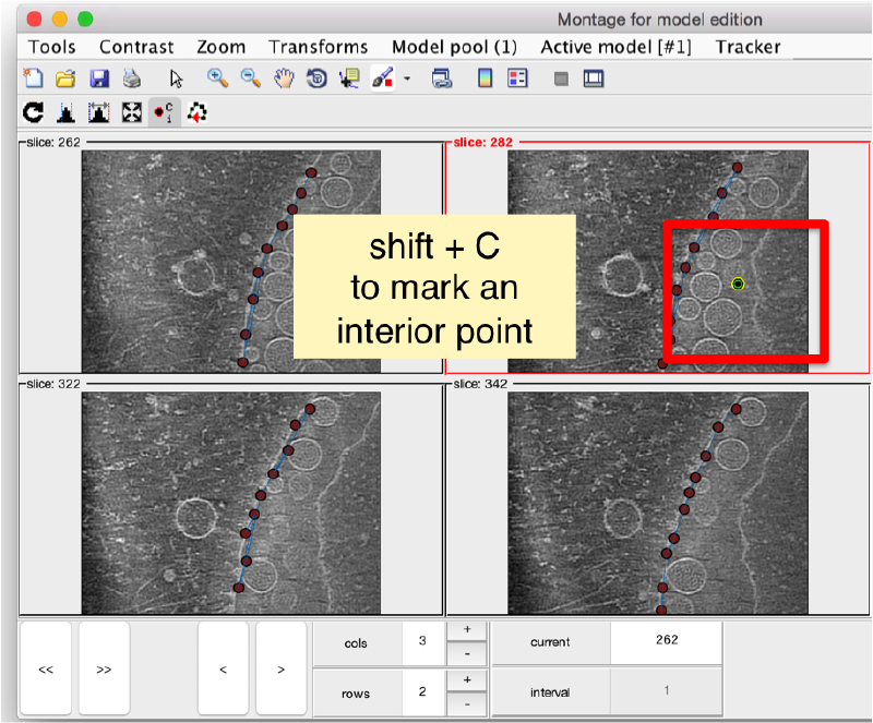 Advanced starters guide - Dynamo