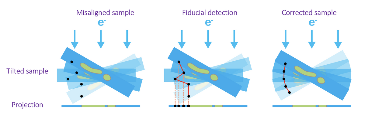 File:Concept of fiducial alignment.png - Dynamo