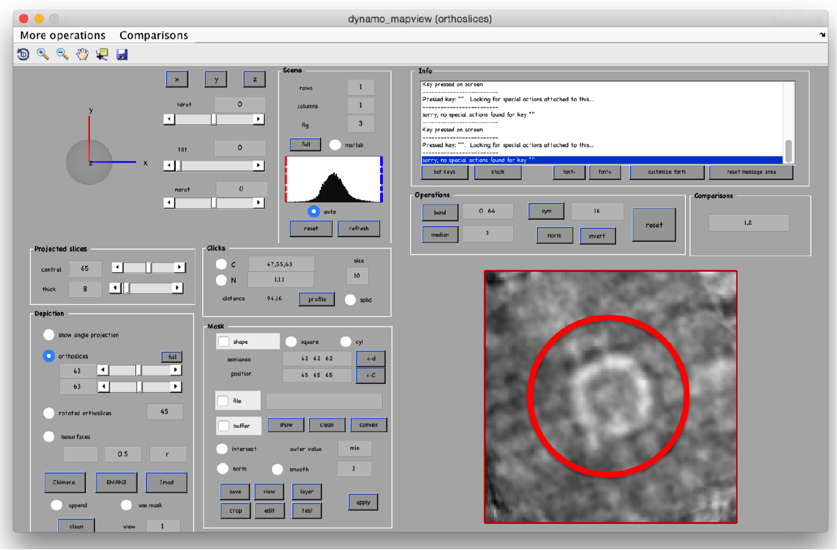 File:FhvRandomizedFaintHintsMapview.png - Dynamo