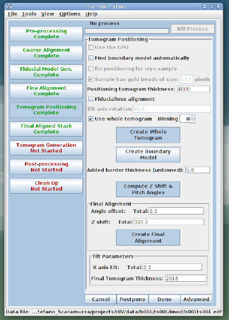 Considerations for tomogram positioning in IMOD - Dynamo