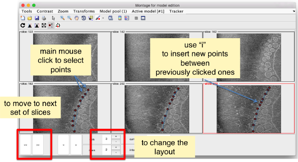 Advanced starters guide - Dynamo