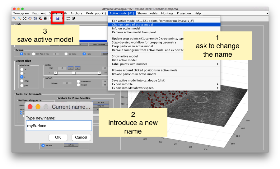 Advanced starters guide - Dynamo